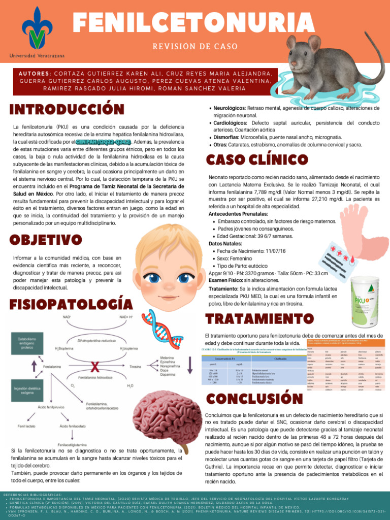 Fenilcetonuria Diagnóstico Y Tratamiento Pdf Especialidades