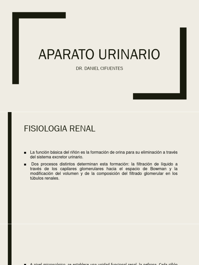 Aparato Urinario | PDF | Riñón | Sistema urinario