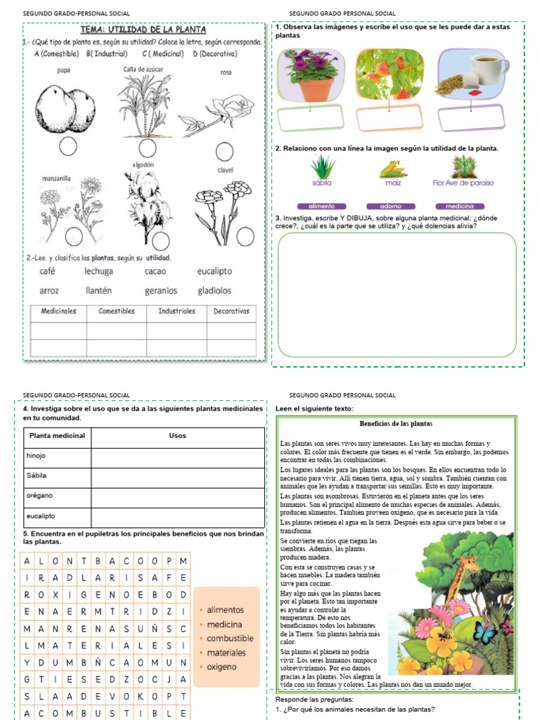 Fichas Personal Social 09-11-2023 | PDF | Plantas | Agua Fichas Personal Social 09-11-2023 | PDF | Plantas | Agua