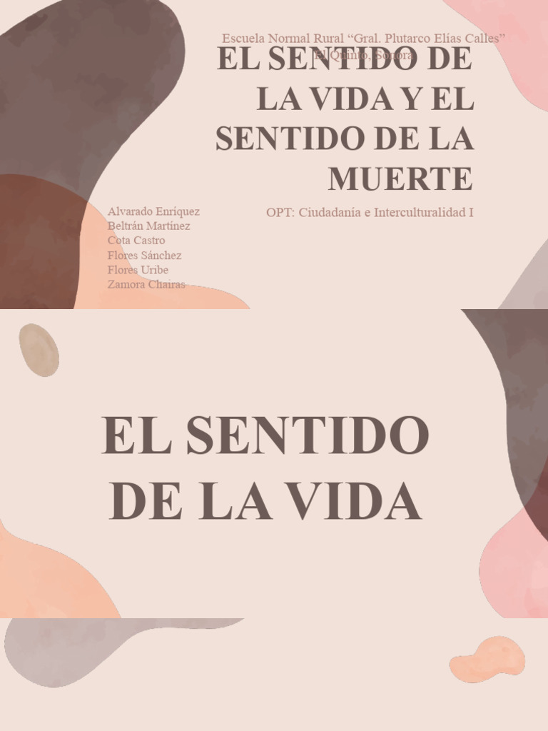 Sentido de Vida y Muerte: Reflexiones | PDF