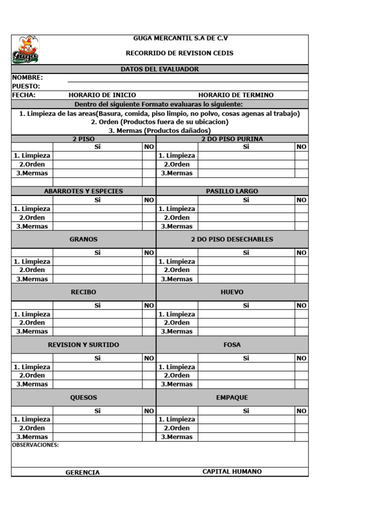 FORMATOS de Revision de Areas | PDF