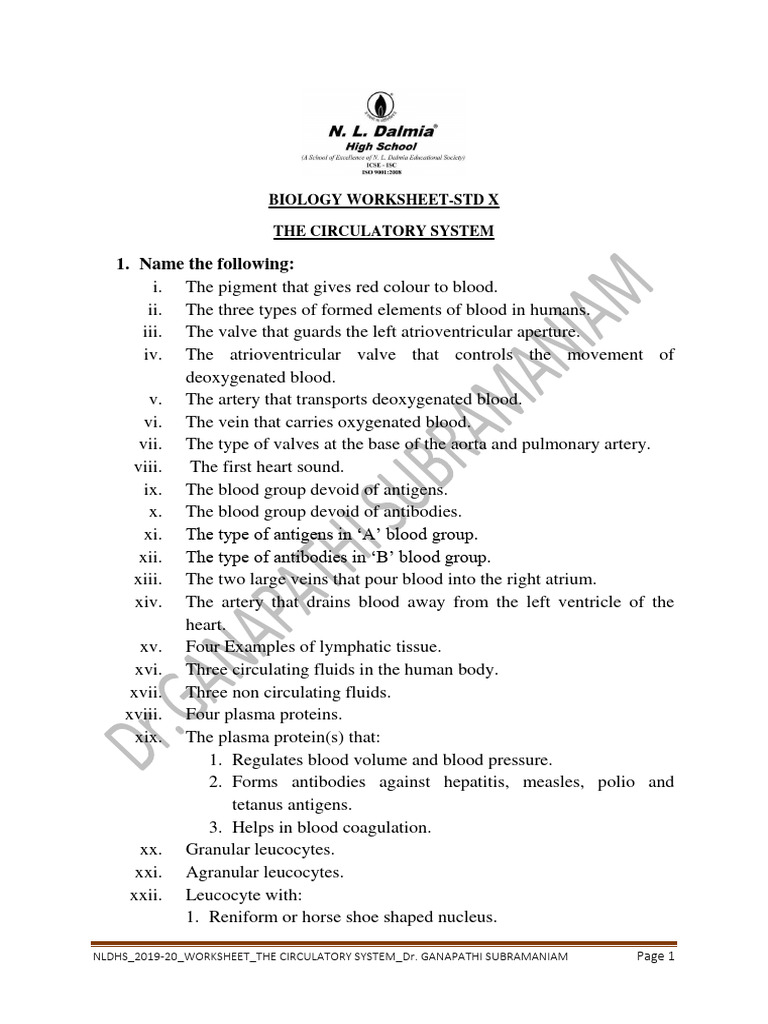 Biology Worksheet On Circulatory System | PDF | Blood | Artery
