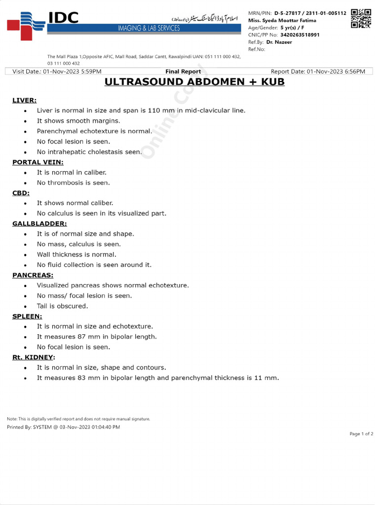 Usg Kub Report | PDF