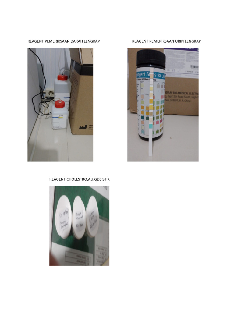 Ep 4. Lab Pelabelan Dan Ketersediaan Reagent | PDF