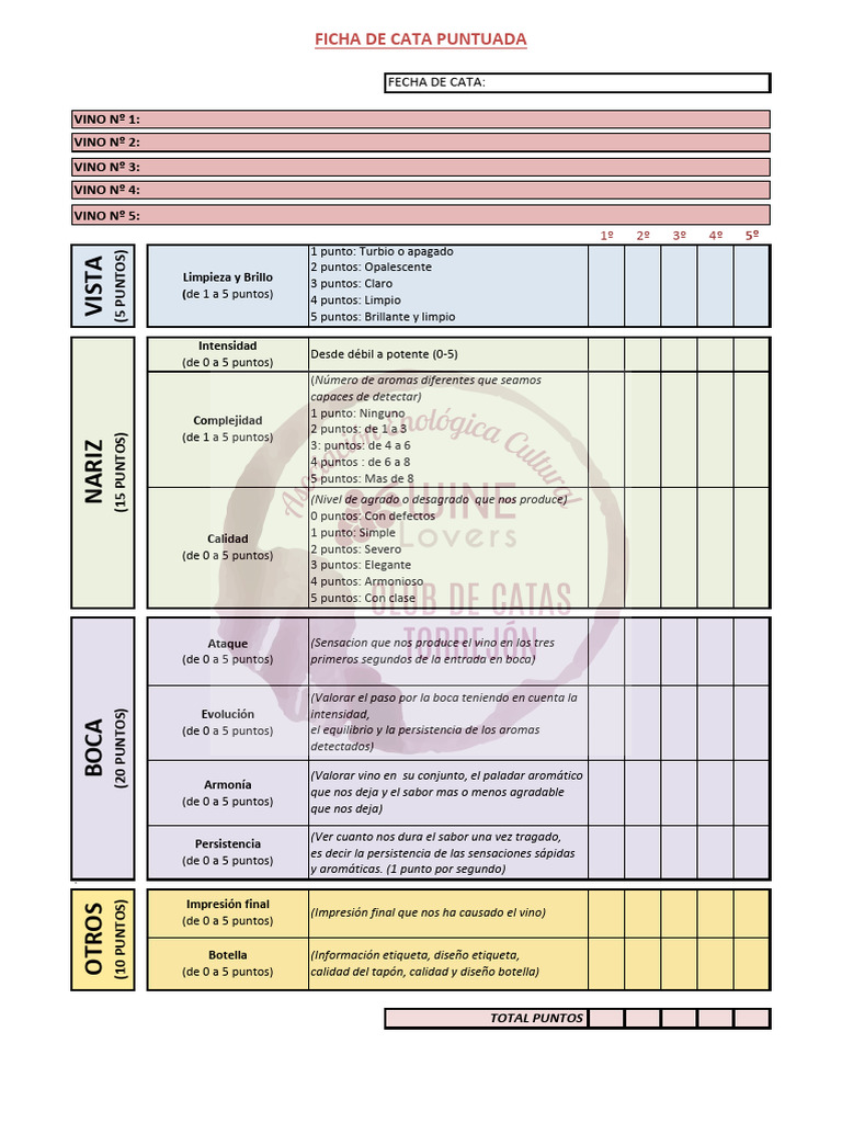 Ficha de Cata Con Puntos | PDF | Vino | Bebidas Fermentadas