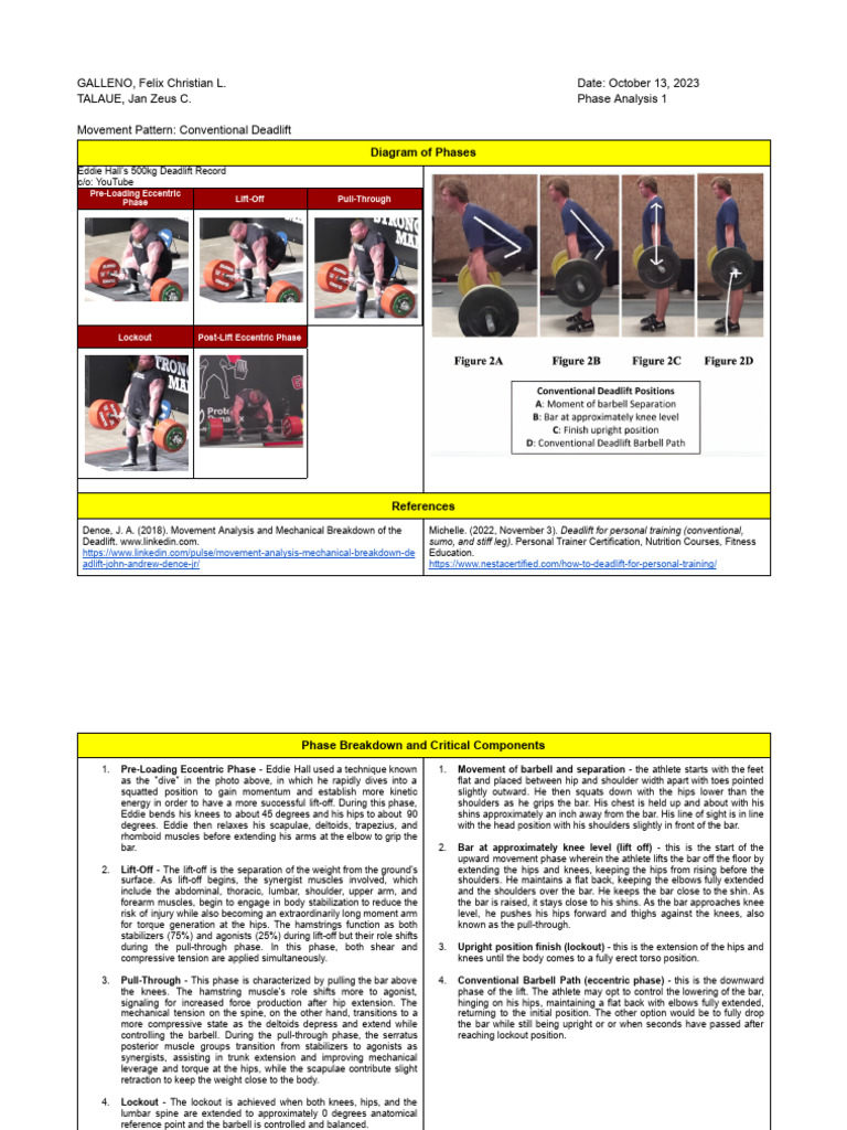 Phase Analysis 1 Pdf Musculoskeletal System Human Anatomy
