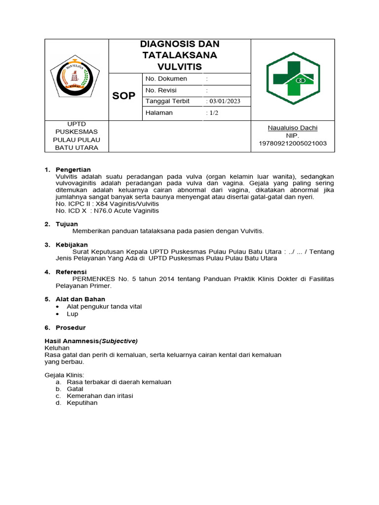 Diagnosis Dan Tatalaksana Vulvitis | PDF