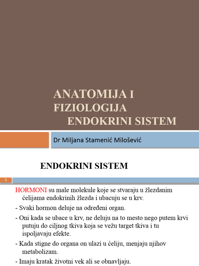 Endokrini Sistem | PDF
