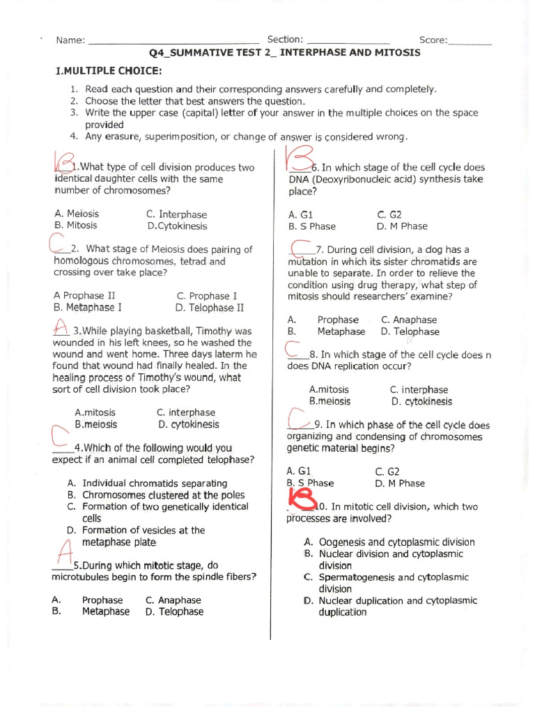 Science Summative Pdf 