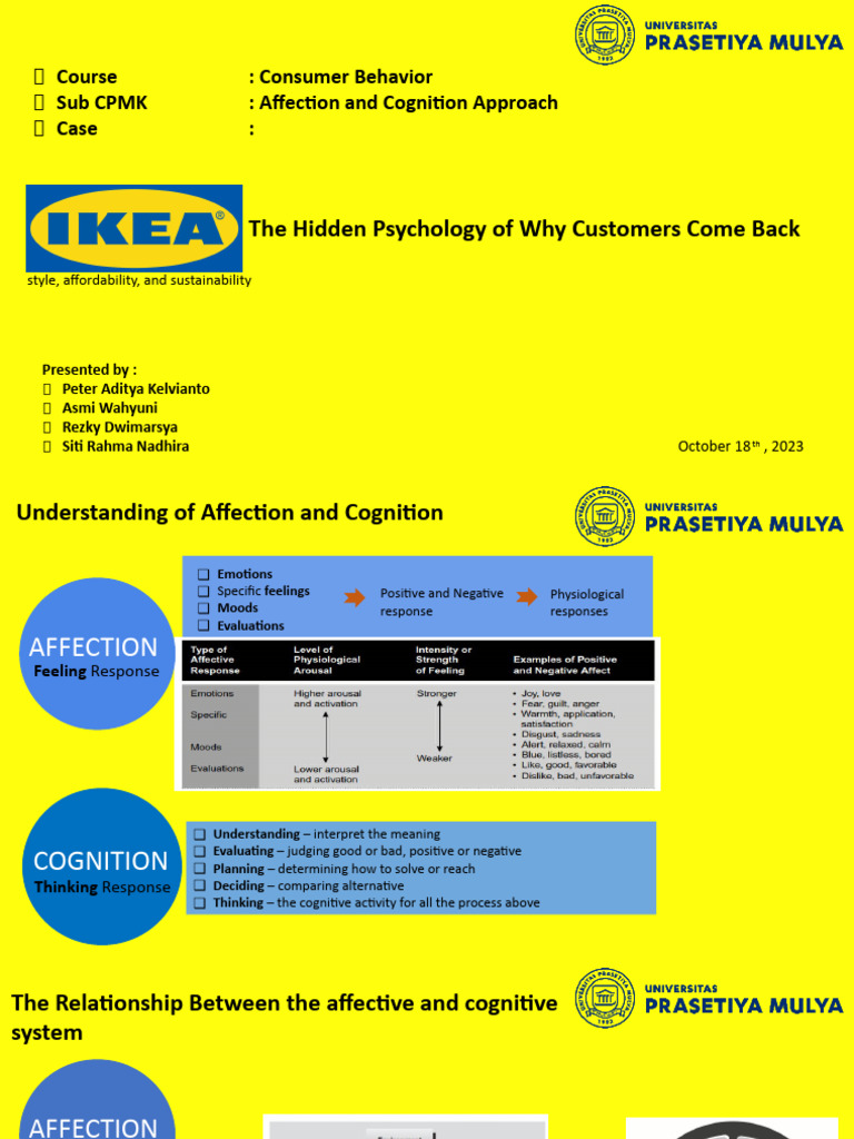 IKEA-Affect and Cognition-Kelompok 1 | PDF | Affect (Psychology) | Feeling
