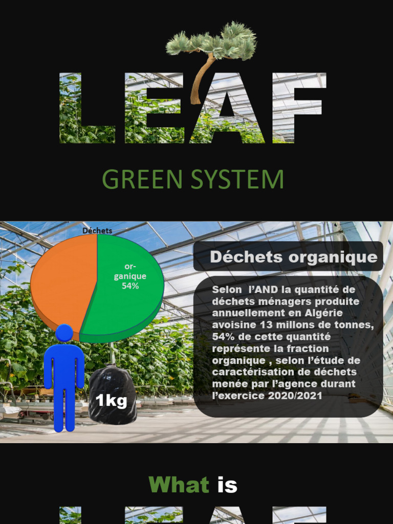 Leaf 1 | PDF | Économie