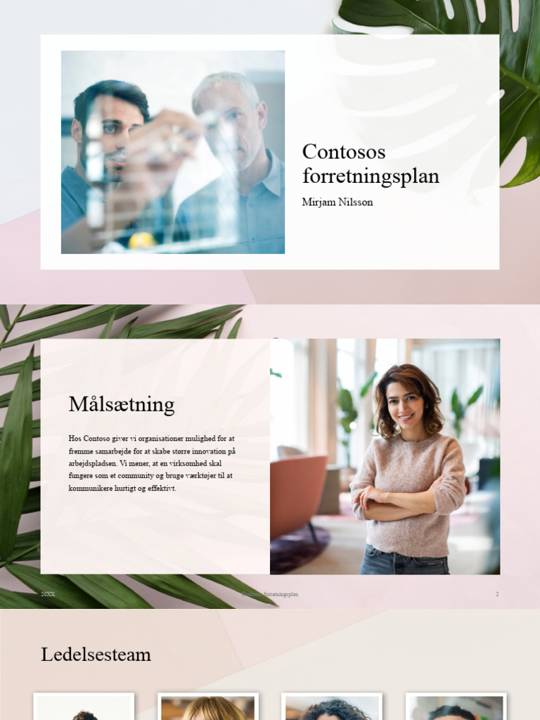 Contosos Forretningsplan | PDF