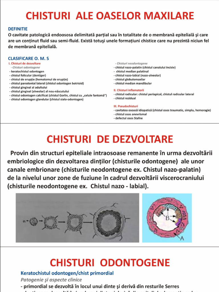 s 51 Chisturi ale maxilarelor | PDF