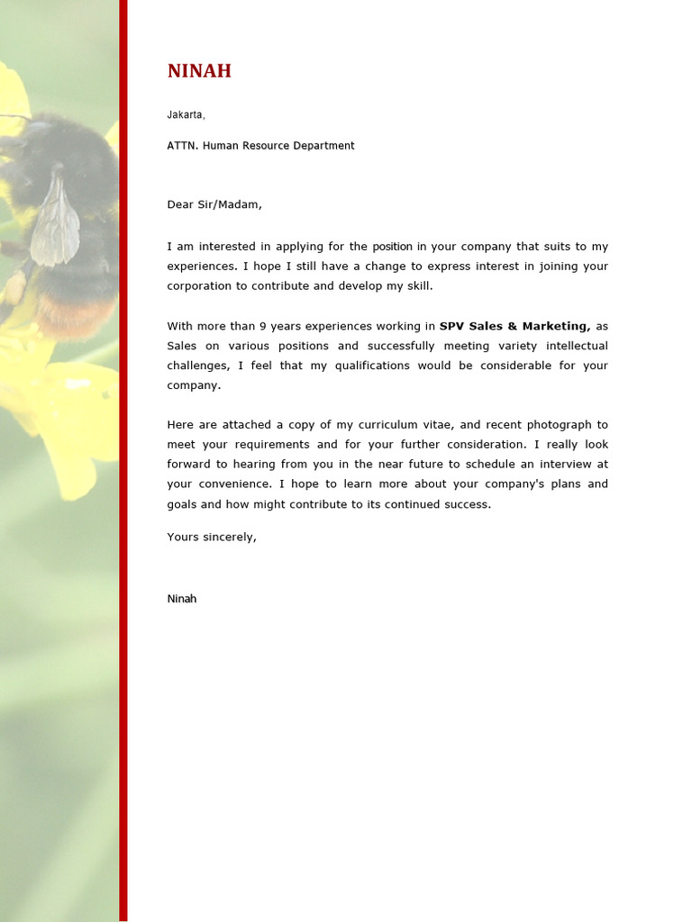 CV - Nina-Marketing Final | PDF | Communication | Human Communication