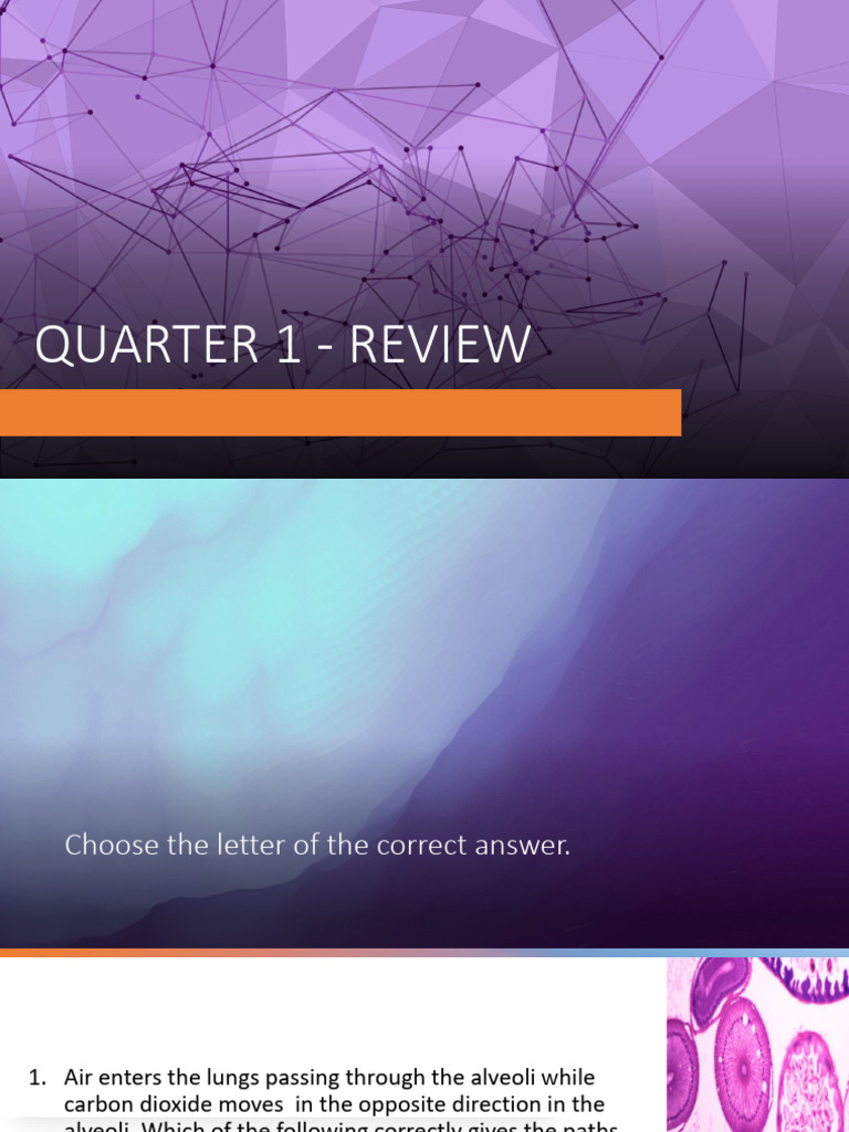 Quarter 1 Review | PDF | Dominance (Genetics) | Photosynthesis