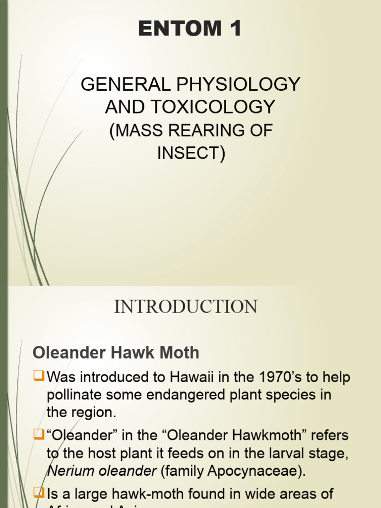 Mass Rearing of Insect | PDF | Insects | Pupa