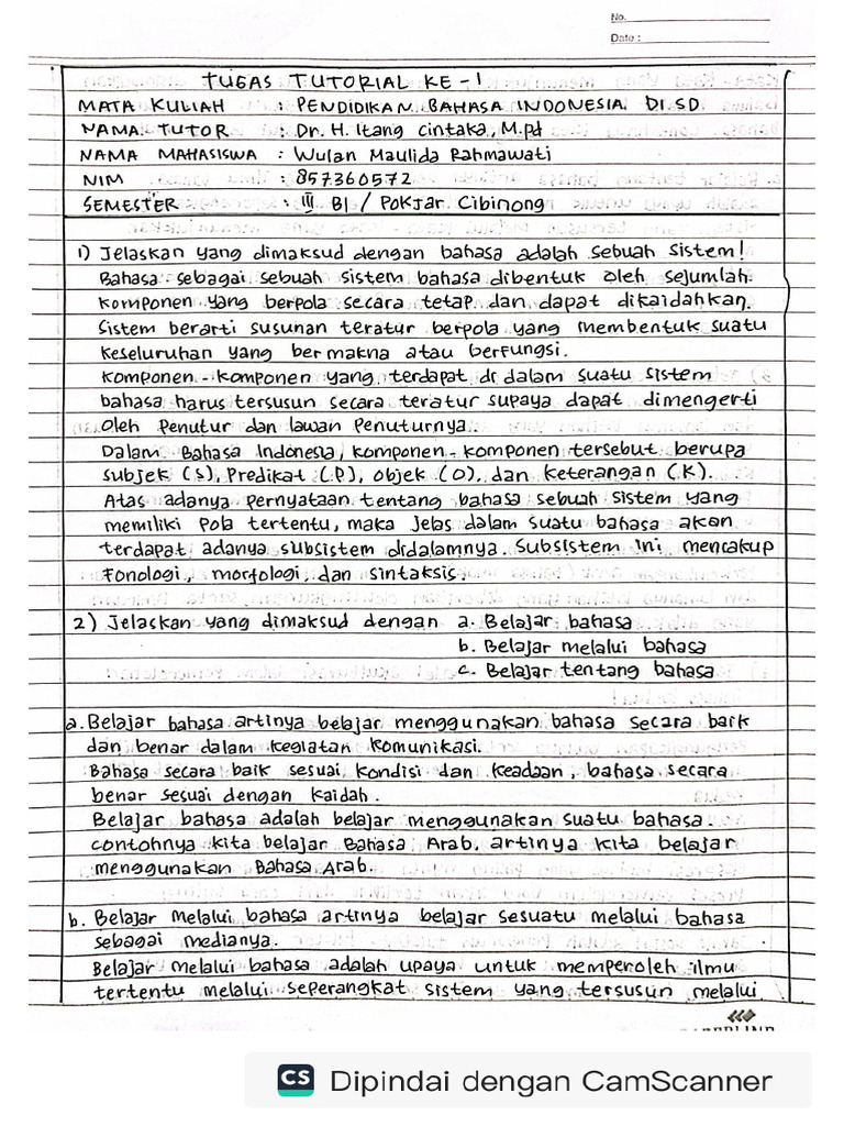 TTM 1-Pendidikan Bahasa Indonesia Di SD | PDF
