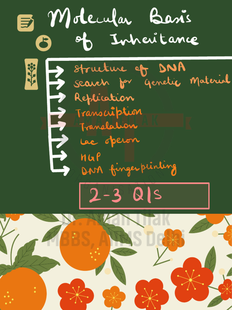 Molecular Basis of Inheritance ? | PDF | Rna | Dna
