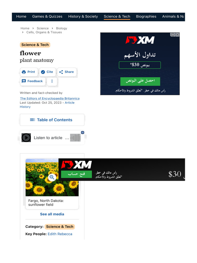 Flower - Definition, Parts, Anatomy, Types,& Facts - Britannica | PDF ...