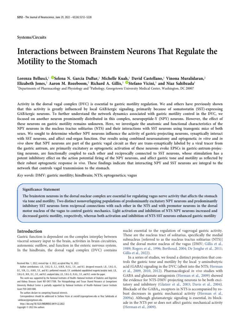 Interactions Between Brainstem Neurons That Regulate The Motility To The Stomach Pdf Neuron