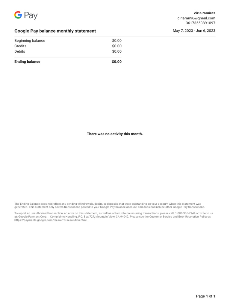 Google Pay Balance Statement | PDF