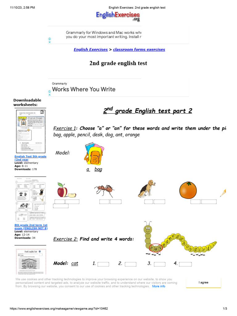 English Exercises - 2nd Grade English Test | PDF