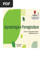 Morfologia de Gramíneas e Leguminosas | PDF | Raiz | Plantas