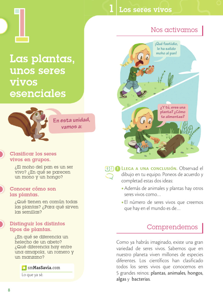 Libro 008-021 Ud01 Savia | PDF | Flores | Plantas