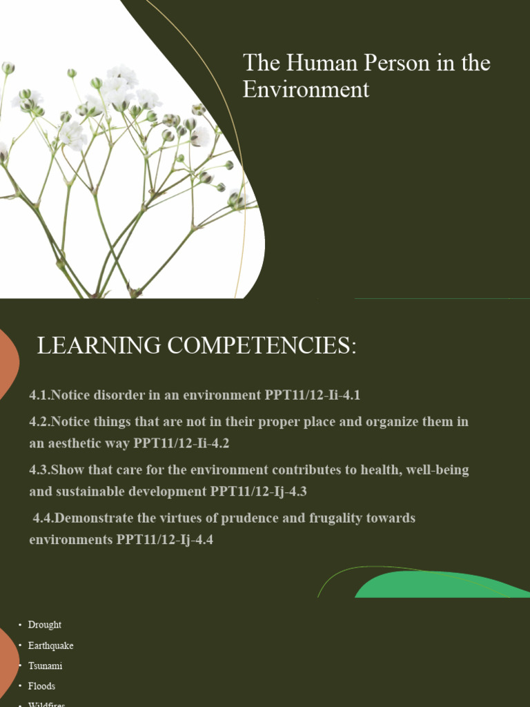 The Human Person in The Environment | PDF | Prudence | Human Impact On ...