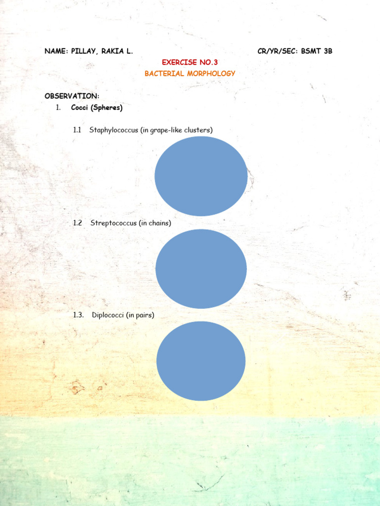Bacterial Morphology | PDF | Bacteria | Cell (Biology)