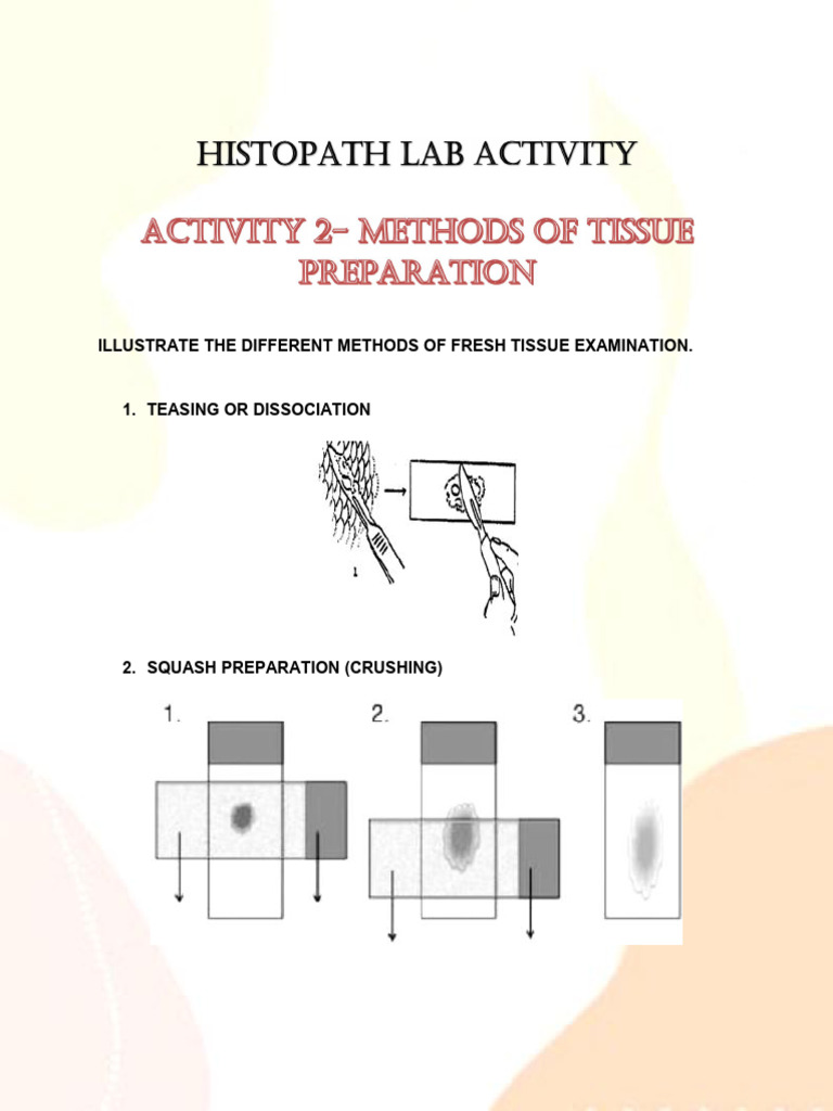 Histopath Lab Activity | PDF | Science & Mathematics