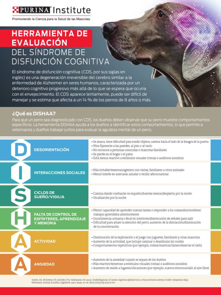 PI DISHAA Assessment Tool Spanish | PDF | Aprendizaje | Enfermedad de ...