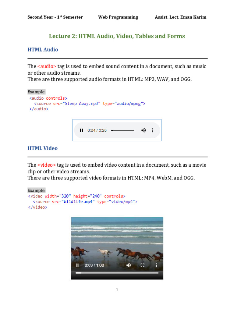 Lecture 2 HTML Audio, Video, Tables and Forms | PDF | Html Element | Web Development