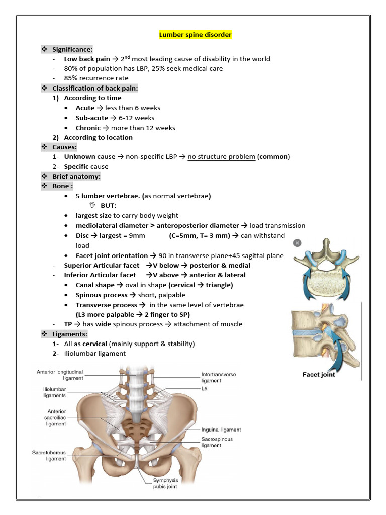 Understanding Lumbar Spine Disorders | PDF | Low Back Pain | Symptoms ...