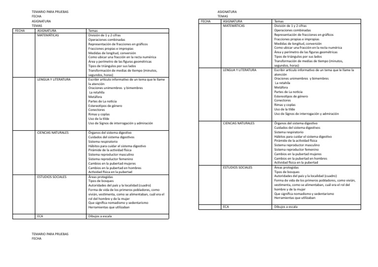 TEMARIO Pruebas 2t | PDF