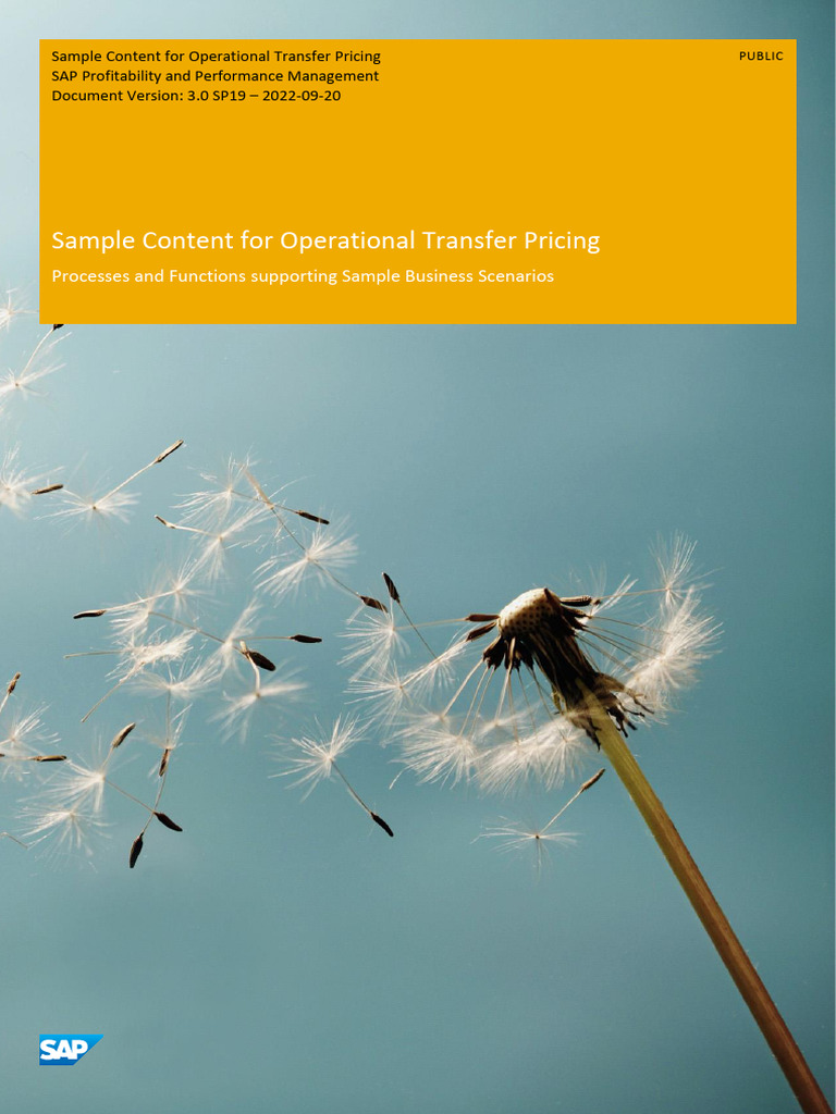 Sample Content Operational Transfer Pricing | PDF | Taxes | Cost