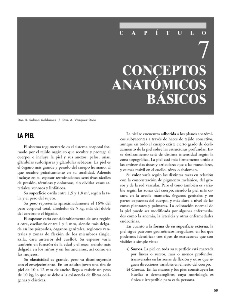 Conceptos Anatómicos Básicos | PDF | Sistema musculoesquelético | Anatomía humana