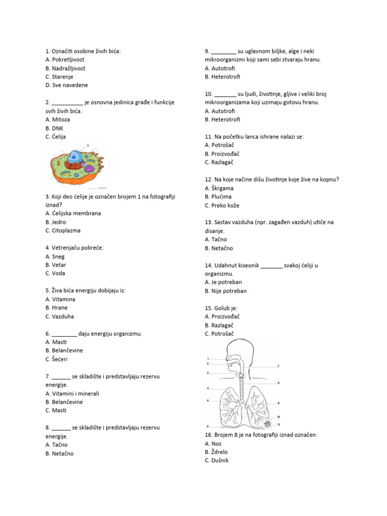 Ishrana Disanje I Izlucivanje Sistematizacija 5. Razred | PDF