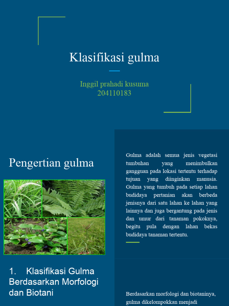 Ciri-Ciri dan Klasifikasi Gulma | PDF