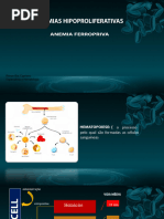 Cinética e Indicadores do Ferro Corporal | PDF | Ferro | Medicina Clínica