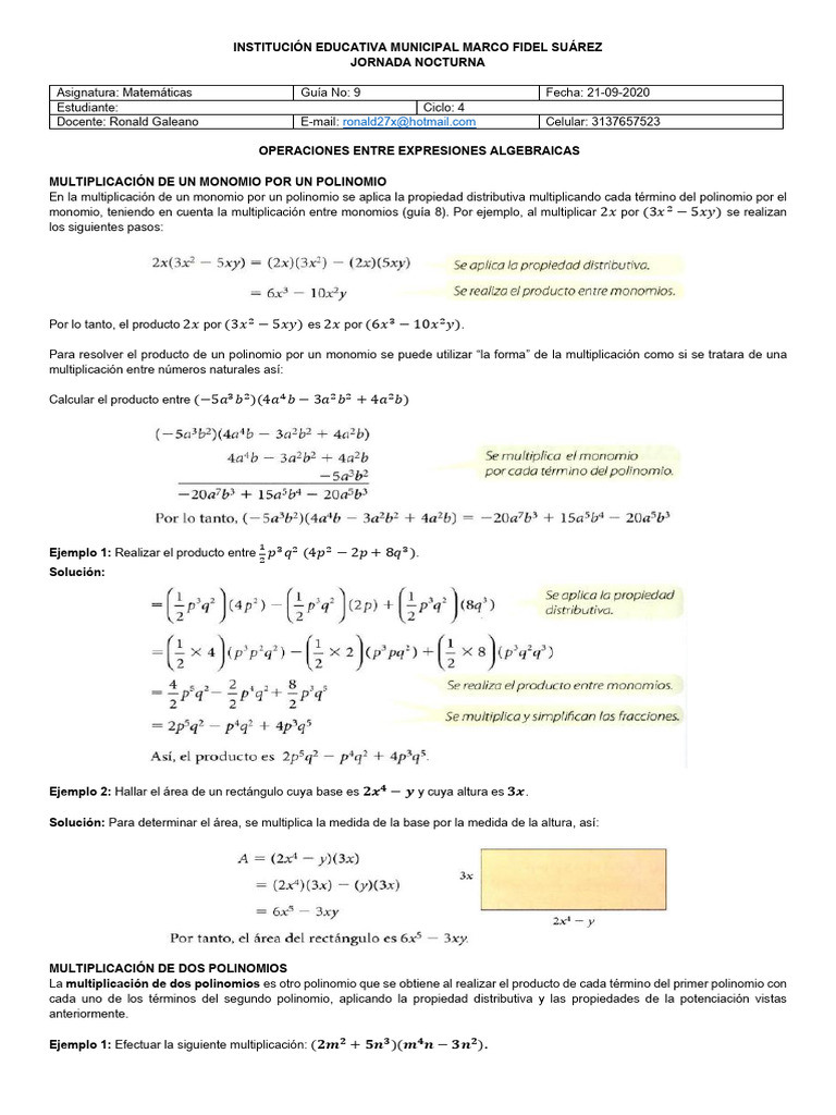 Guía9 Matemáticas Ciclo 4 | PDF | Multiplicación | Polinomio