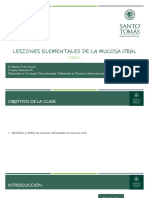 05 Tejidos Epiteliales III Especializaciones Del Dominio Basolateral ...