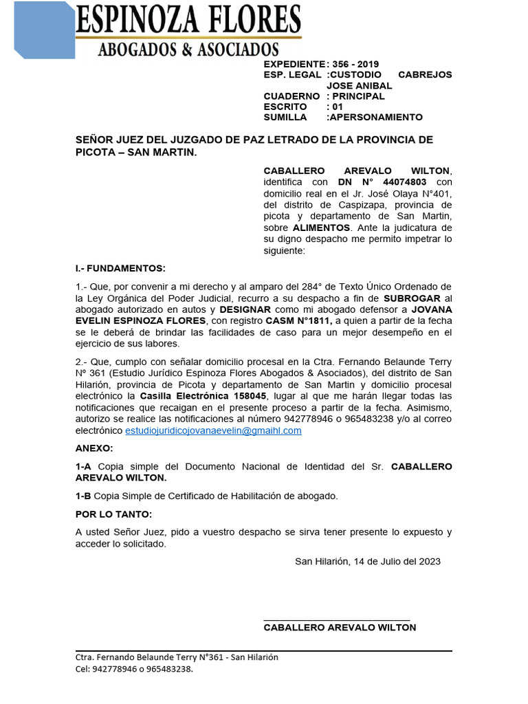 Apersonamiento de Wilton Caballero Arevalo | PDF | Separación de poderes | Ley Pública