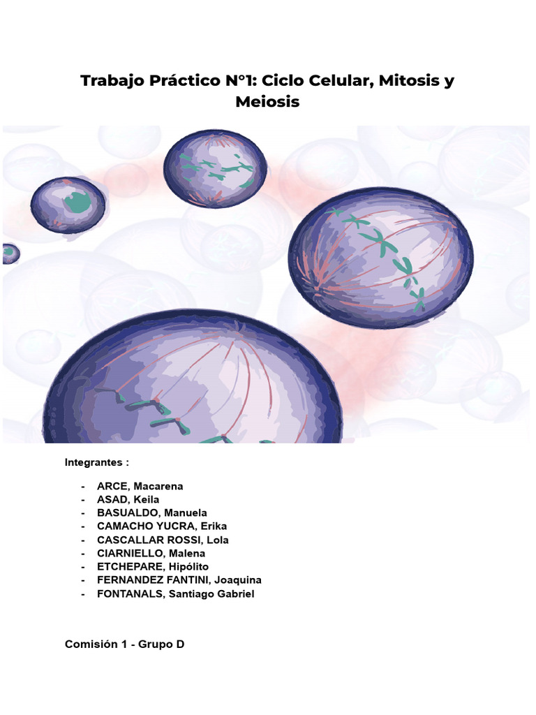 Trabajo Práctico N°1 - Ciclo Celular, Mitosis y Meiosis | PDF | Mitosis ...