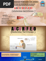 Esquema del Arco Reflejo | PDF