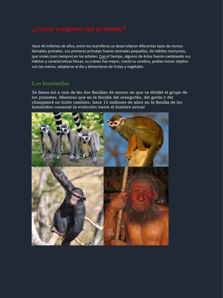Anexo 1 Primates | PDF | Ciencias sociales | Ciencia y matemática