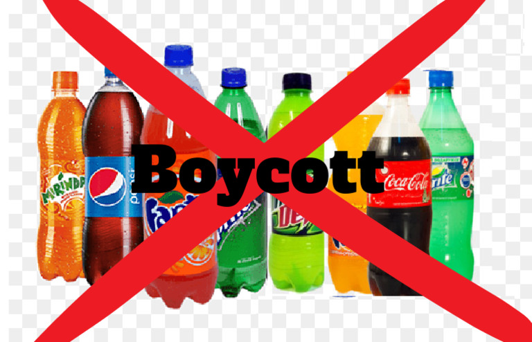 Boycott | PDF
