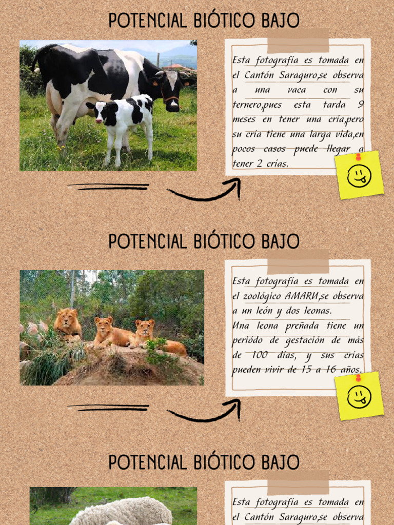 Potencial Biotico Alto y Bajo-1 | PDF | Hogar, jardinería y bricolaje