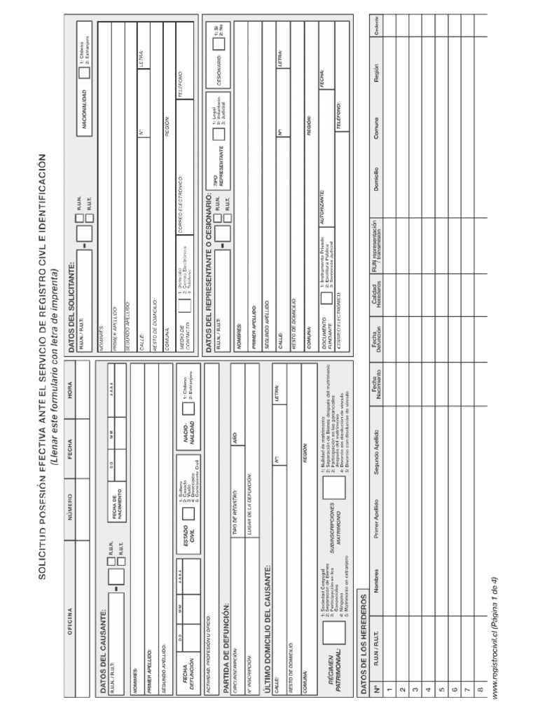 Formulario de Posesion Efectiva-2 | PDF