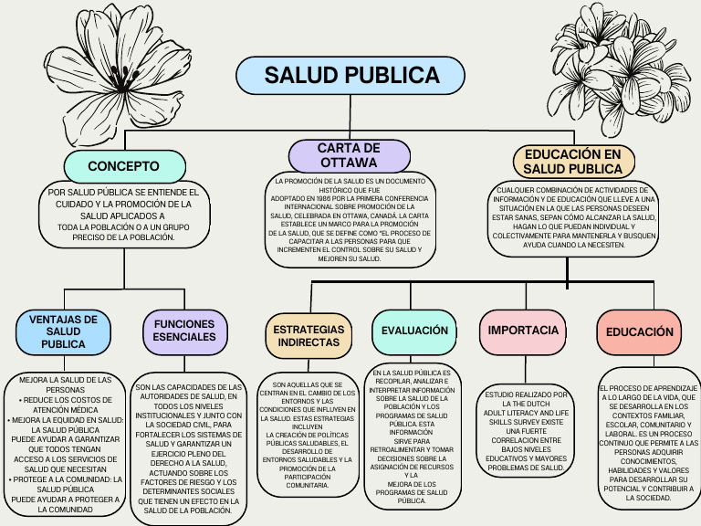 MAPA SALUD PUBLICA | PDF | Salud pública | Promoción de la salud